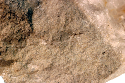 Oolite Rock